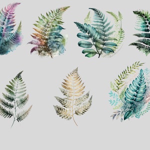 Watercolor Fern Clipart, Greenery , Botanical Png Bundle, Forest ...