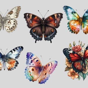 Watercolor Butterfly PNG Mix Clipart, Butterflies Clipart, Spring ...