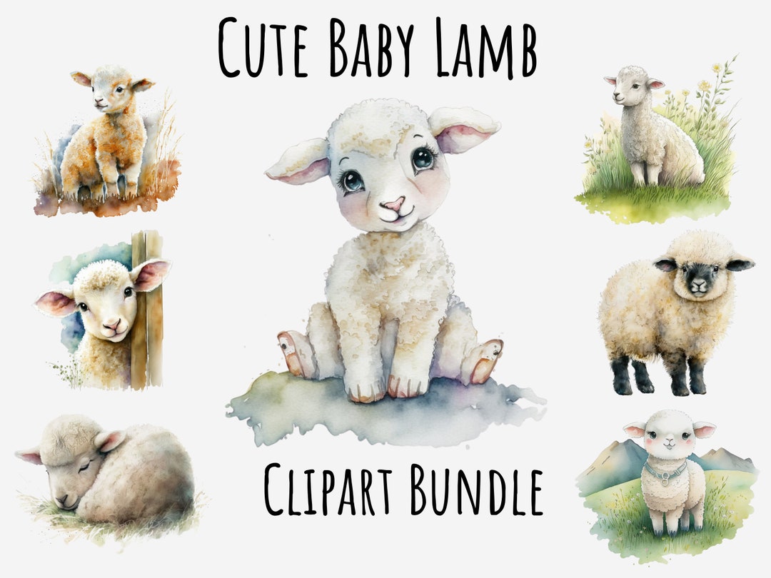 Cute Baby Sheep Clipart, Baby Lamb Clipart, Baby Farmhouse Animal Png Bundle, Baby Animals,farm ...