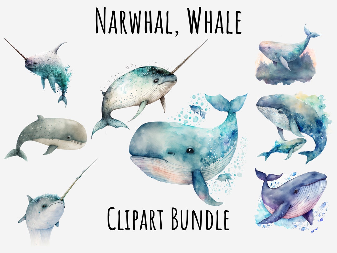 Watercolor Narwhal Clipart, Whale Clipart, Ocean Fish Png Bundle, Whale ...