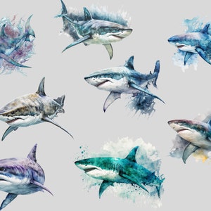 Watercolor Shark Clipart, Cute Baby Shark Clip Art, Great White Shark ...