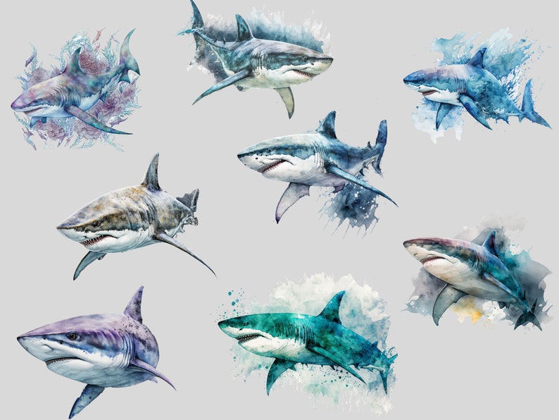 Watercolor Shark Clipart, Cute Baby Shark Clip Art, Great White Shark ...