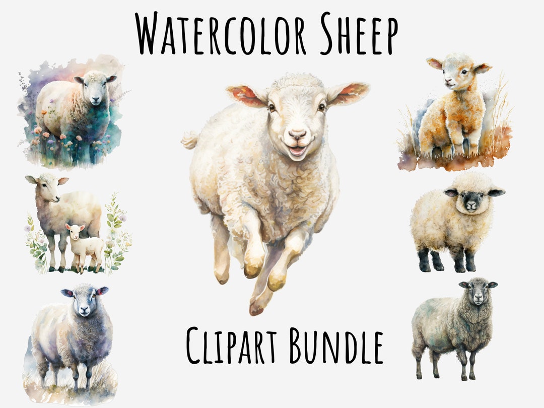Watercolor Sheep Clipart, Lamb Clipart, Baby Sheep, Farmhouse Animals ...
