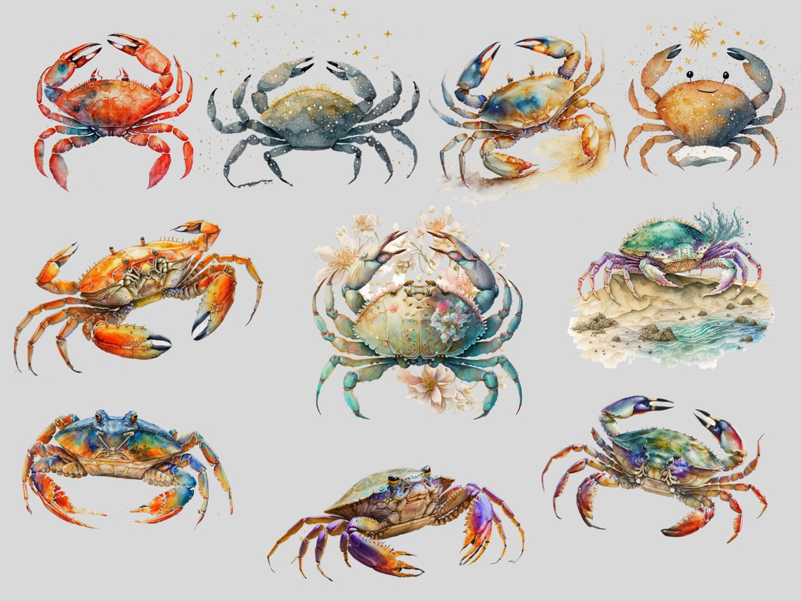Watercolor Crab Clipart, Sea Animals Png, Crab Png, Beach, Marine ...