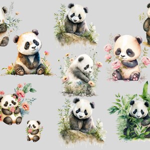 Cute Baby Panda Clipart Bundle, Cute Jungle Small Animal Png Images ...
