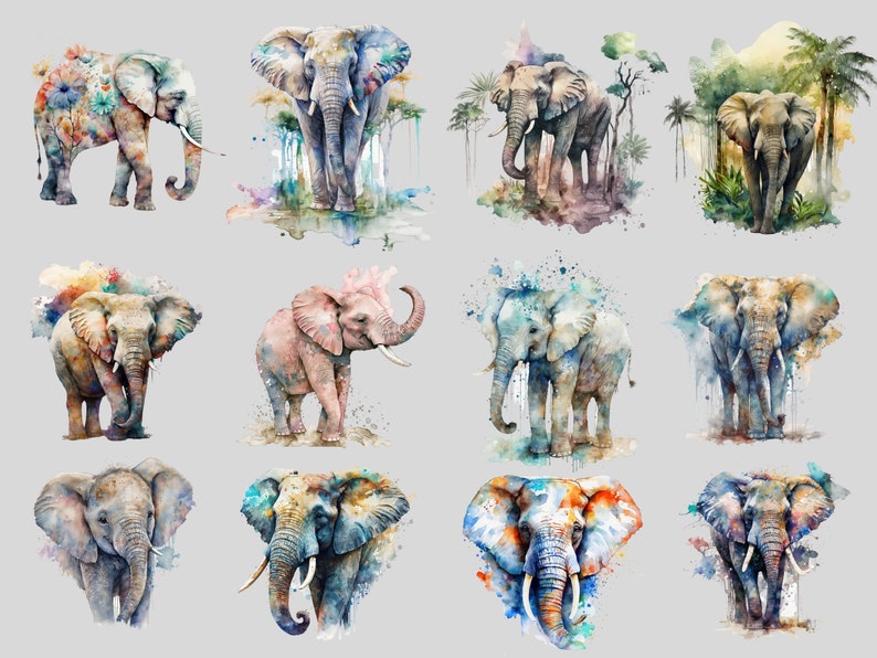 Watercolor Elephant Clipart Wild Animal High-quality Images - Etsy