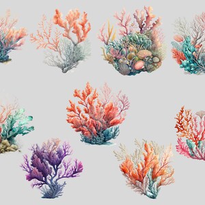 Watercolor Coral Clipart, Underwater, Sea Coral Png Bundle, Coral Reef ...