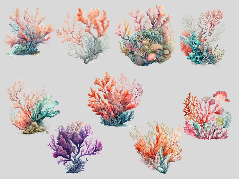Watercolor Coral Clipart Underwater Sea Coral Png Bundle - Etsy