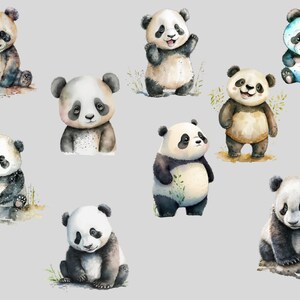 Cute Baby Panda Clipart Bundle, Cute Jungle Small Animal Png Images ...