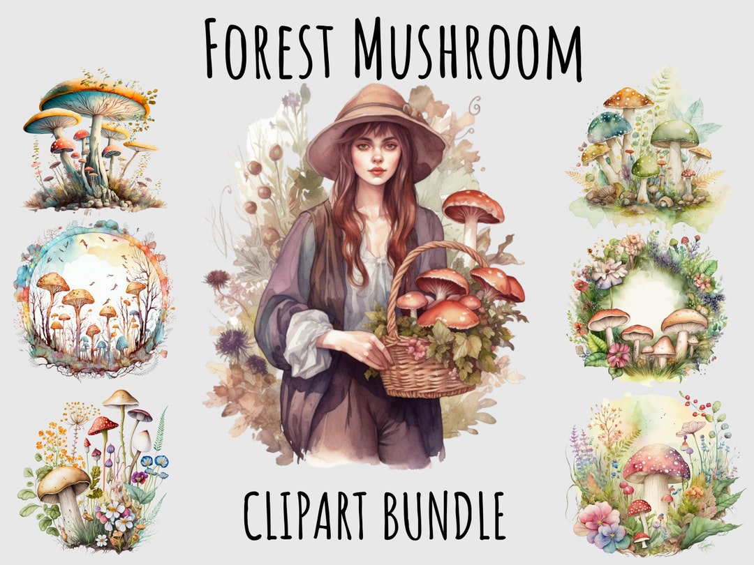 Watercolor Mushroom Clipart PNG Large Bundle Floral Digital Download ...