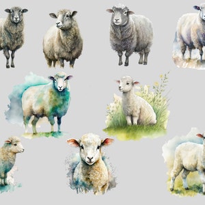 Watercolor Sheep Clipart, Lamb Clipart, Baby Sheep, Farmhouse Animals ...