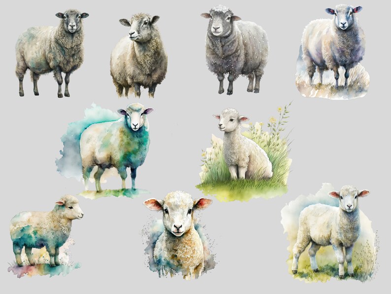 Watercolor Sheep Clipart Lamb Clipart Baby Sheep Farmhouse - Etsy