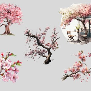 Watercolor Cherry Blossom Png Clipart Bundle Spring Feeling Tree Branch ...