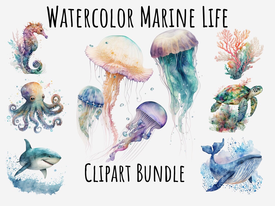 Watercolor Marine Life Clipart, Octopus, Coral, Sea Shell, Ocean ...
