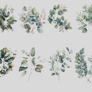 Watercolor Eucalyptus Clipart, Greenery, Wedding Flowers Png, Gardening ...