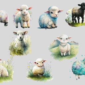 Cute Baby Sheep Clipart, Baby Lamb Clipart, Baby Farmhouse Animal Png Bundle, Baby Animals,farm ...