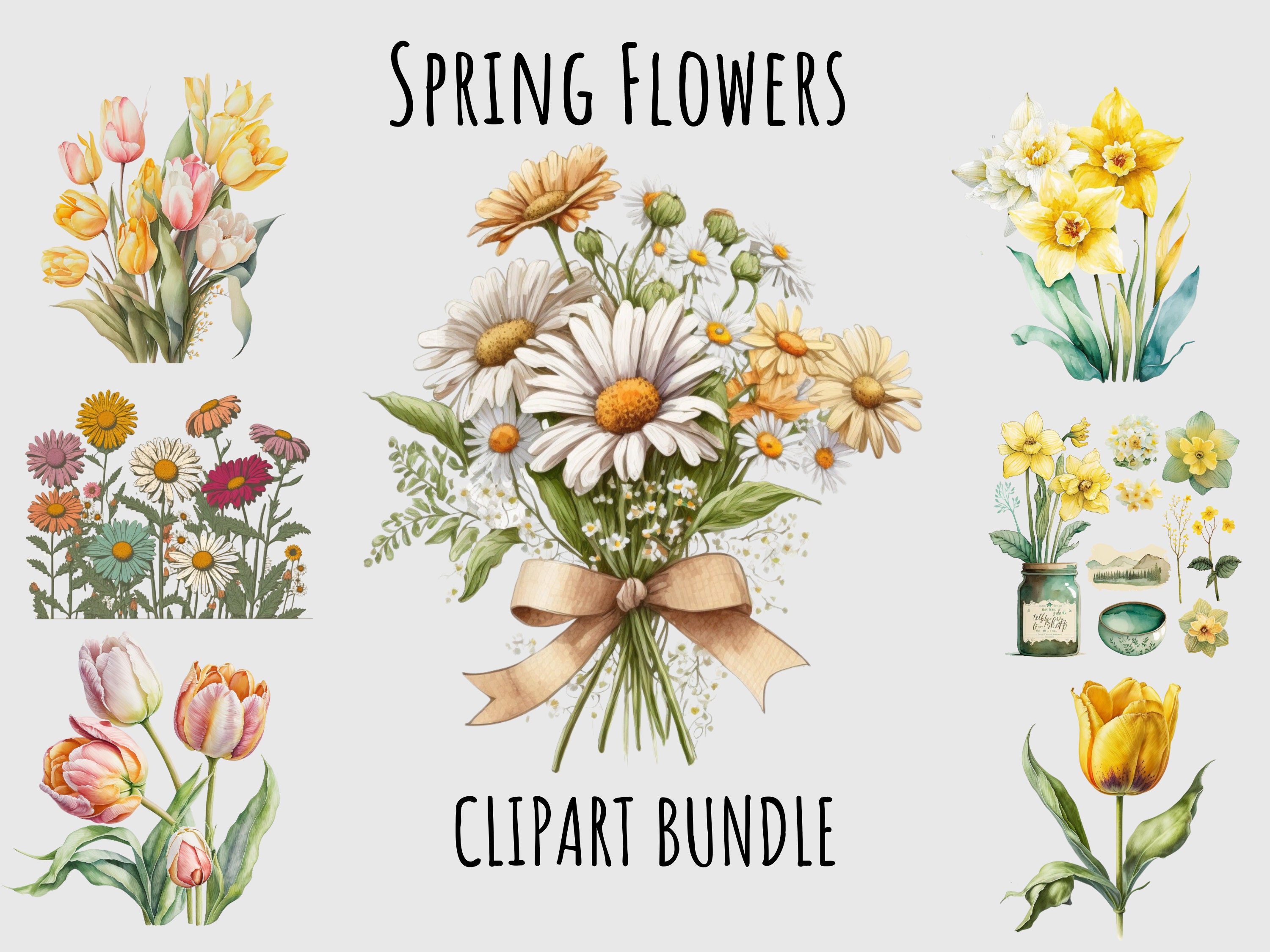 Watercolor Spring Flower PNG Clipart Tulip Clipart Daisy - Etsy