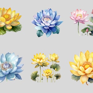Watercolor Lotus Flower Clipart Bundle, Printable Transparent Flower ...