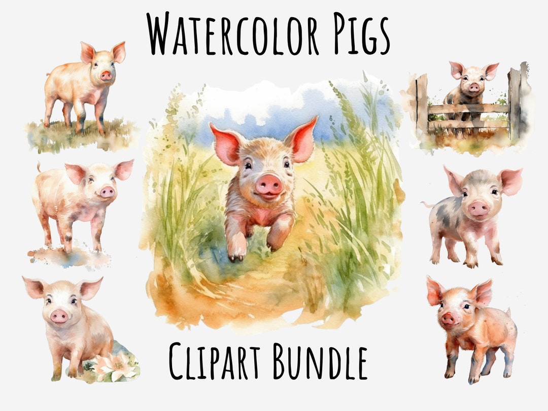 Watercolor Pig Clipart, Piglet, Farm Animal Clipart, Wild Animals, Cute ...