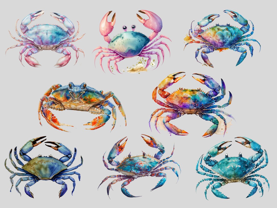 Watercolor Crab Clipart, Sea Animals Png, Crab Png, Beach, Marine ...