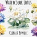 Watercolor Lotus Flower Clipart Bundle, Printable Transparent Flower ...