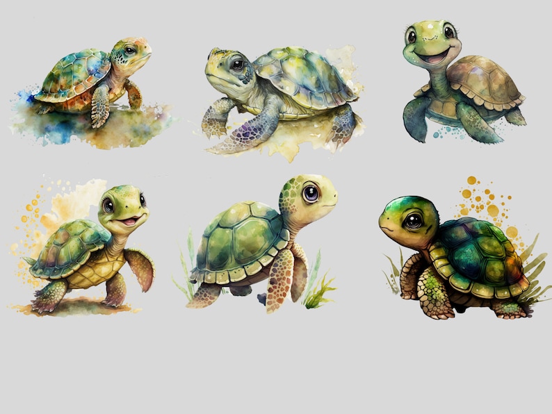 Watercolor Cute Baby Turtle Clipart Baby Animal Clipart Cute - Etsy
