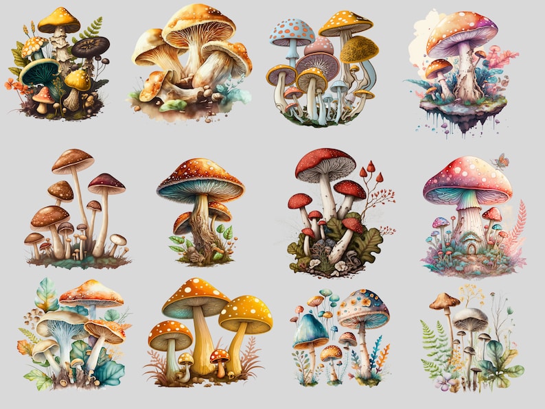 Watercolor Mushroom Clipart PNG Large Bundle Floral Digital - Etsy