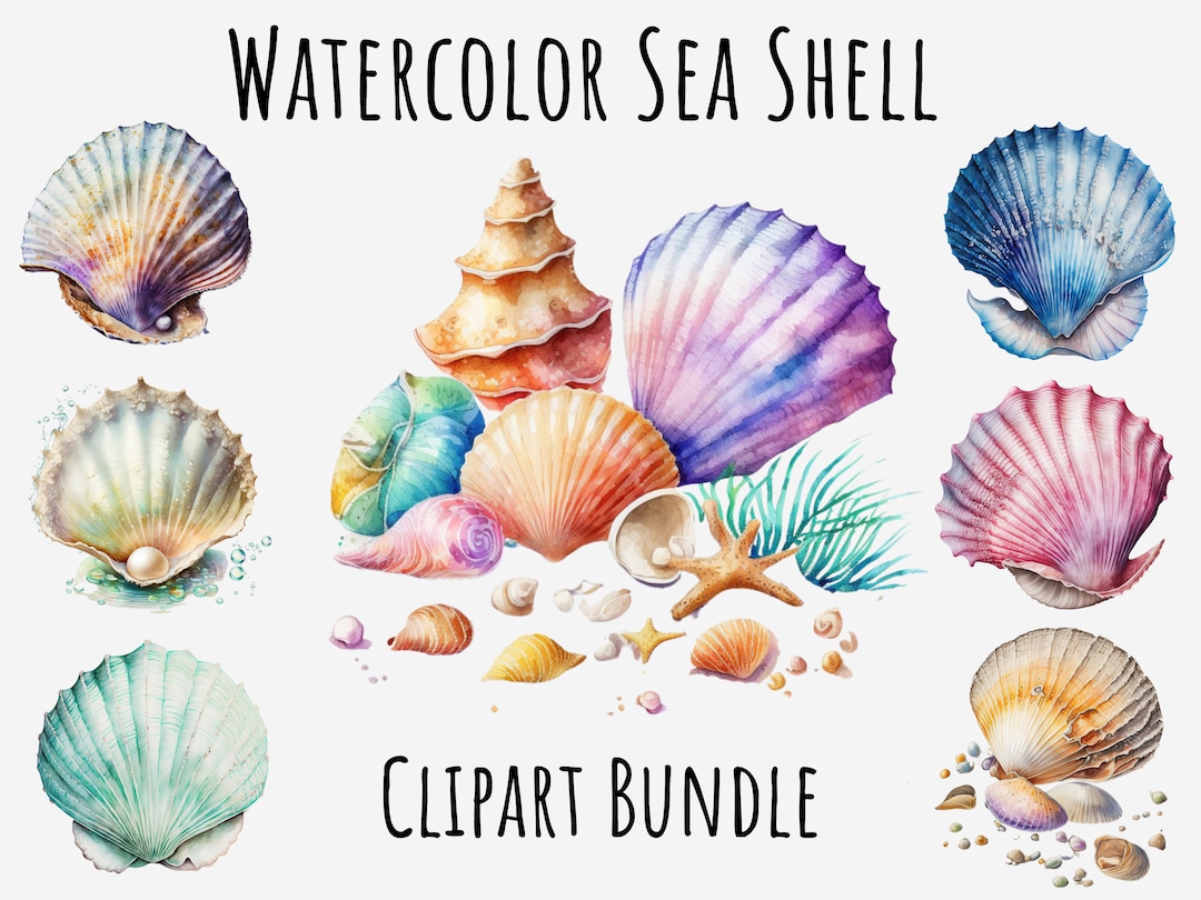 Watercolor Seashell Clipart, Marine Sea Shell, Snail Shell, Seaside ...