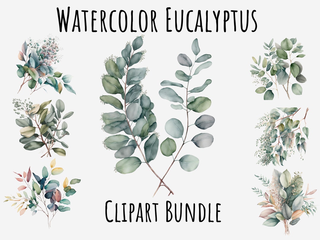 Watercolor Eucalyptus Clipart, Greenery, Wedding Flowers Png, Gardening ...