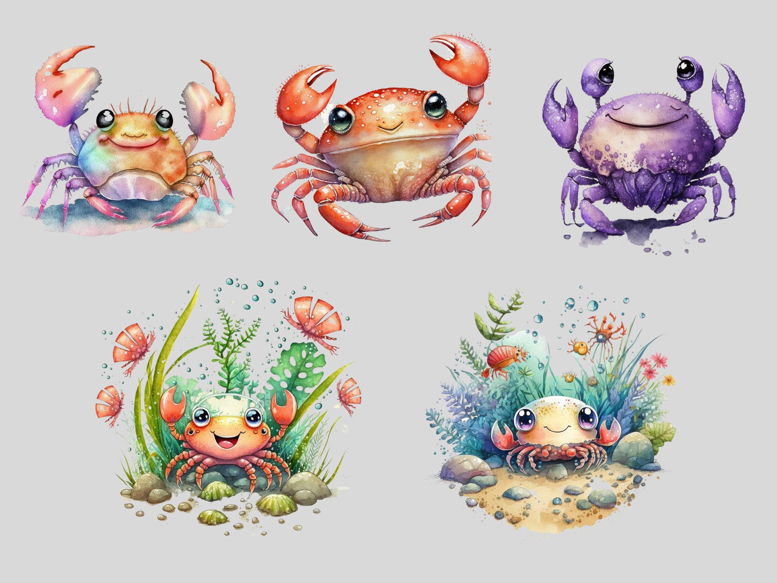 Cute Baby Crab Clipart Crab PNG Bundle Cute Sea Animals - Etsy