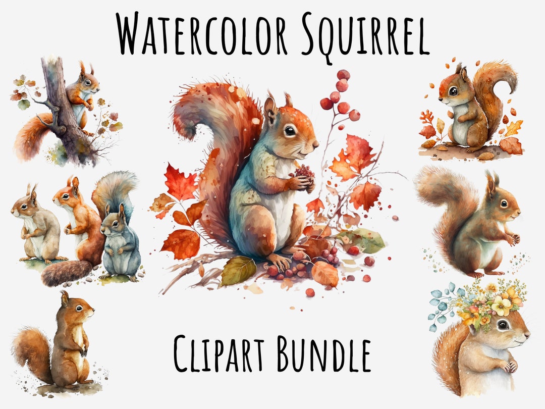 Watercolor Squirrel Clipart, Png Graphics for Print, Sublimation ...