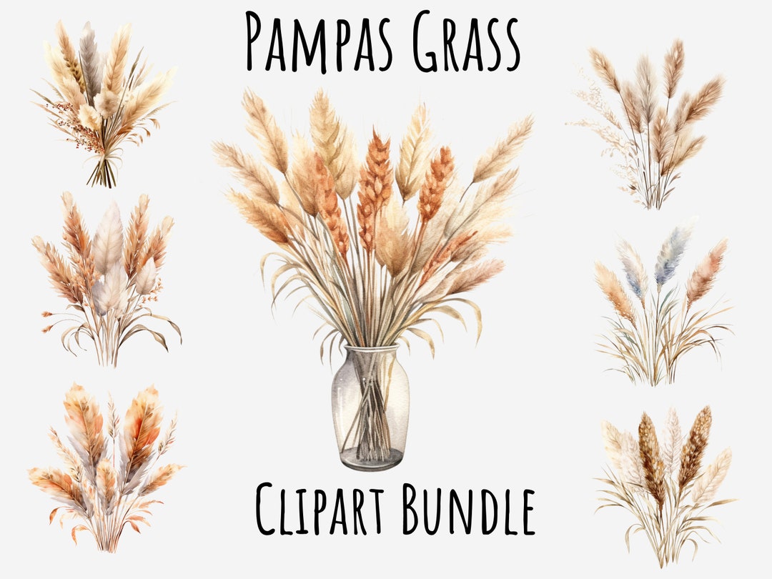 Watercolor Pampas Grass Clipart, Boho Bouquet, Transparent PNG, Card ...