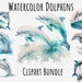 Watercolor Dolphin Clipart, Ocean Animal Images, Sea Fish Clipart, Cute ...