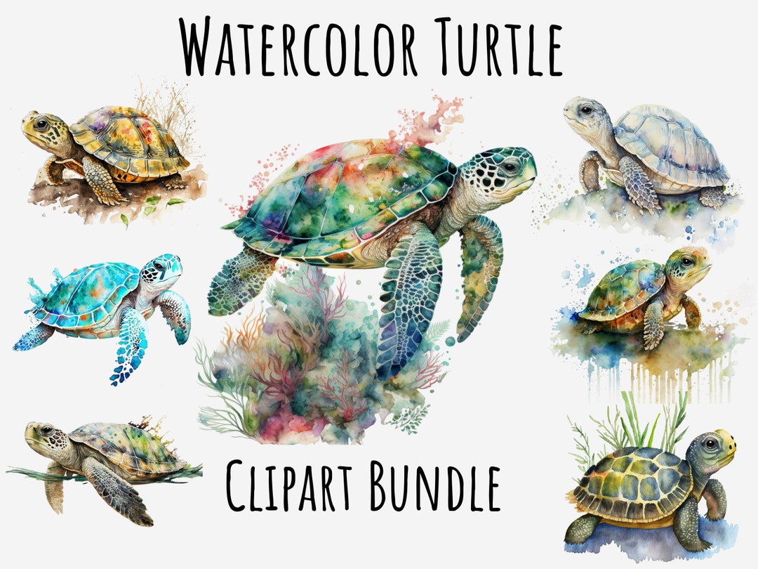 Watercolor Turtle Clipart, Sea Turtle Png, Ocean Turtle Image Graphics ...