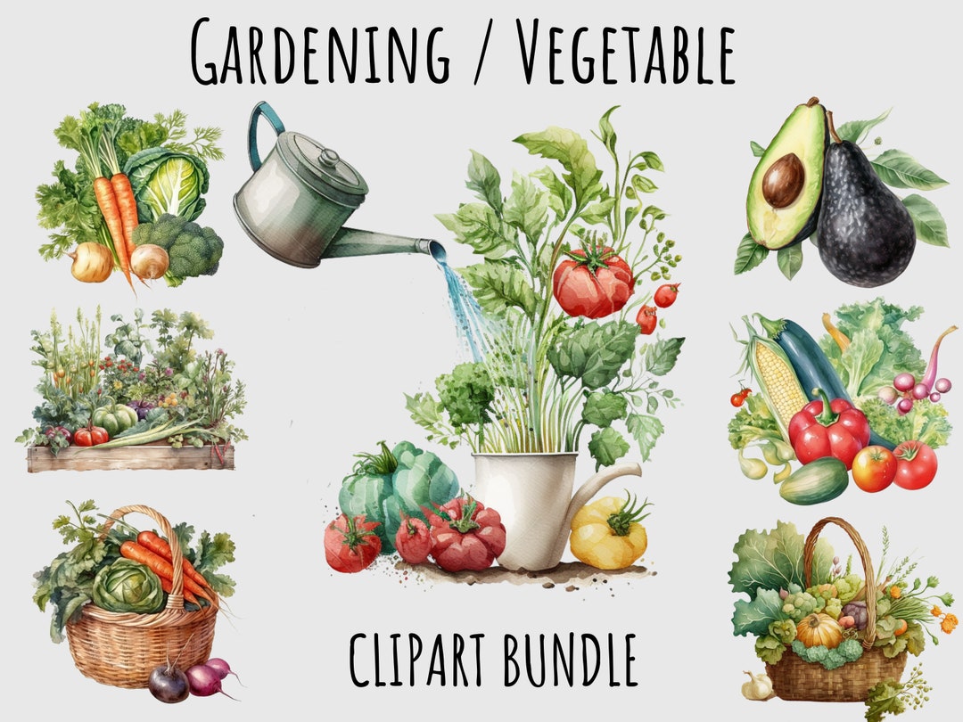 Watercolor Gardening Vegetable Clipart PNG, Tomato Avocado Carrot ...