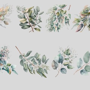 Watercolor Eucalyptus Clipart, Greenery, Wedding Flowers Png, Gardening ...