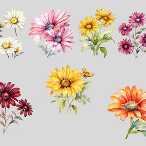 Watercolor Daisies Clipart, Daisy Flowers Png, Flower Bouquet, Fall ...