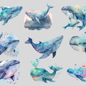 Watercolor Narwhal Clipart, Whale Clipart, Ocean Fish Png Bundle, Whale ...