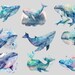 Watercolor Narwhal Clipart, Whale Clipart, Ocean Fish Png Bundle, Whale ...