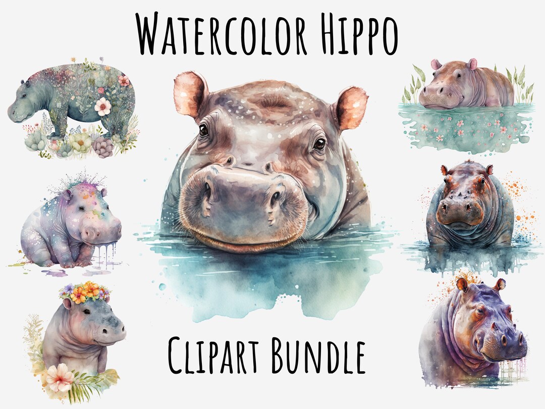 Watercolor Hippo Clipart, Baby Hippo, Hippopotamus, Wild Animals ...