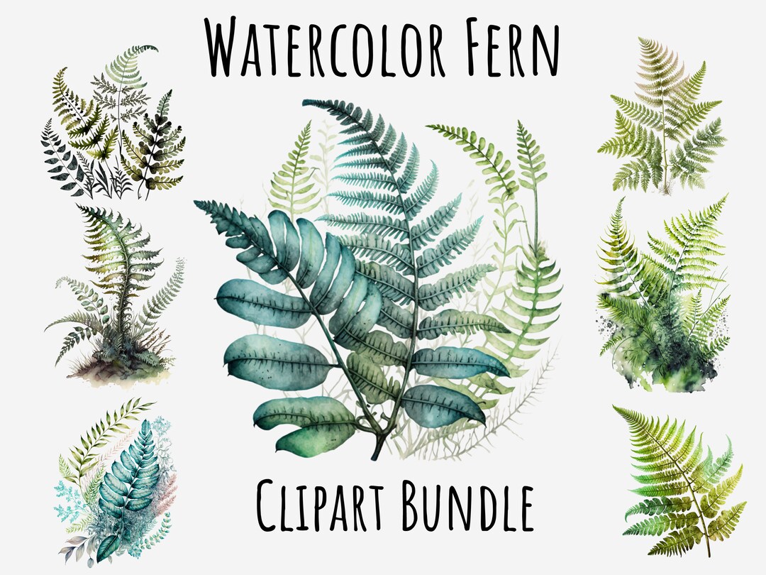 Watercolor Fern Clipart, Greenery , Botanical Png Bundle, Forest ...