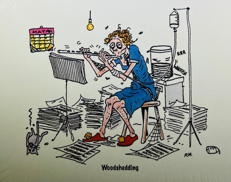 Three Symfunnies Flute Greeting Cards Woodshedding - Etsy UK