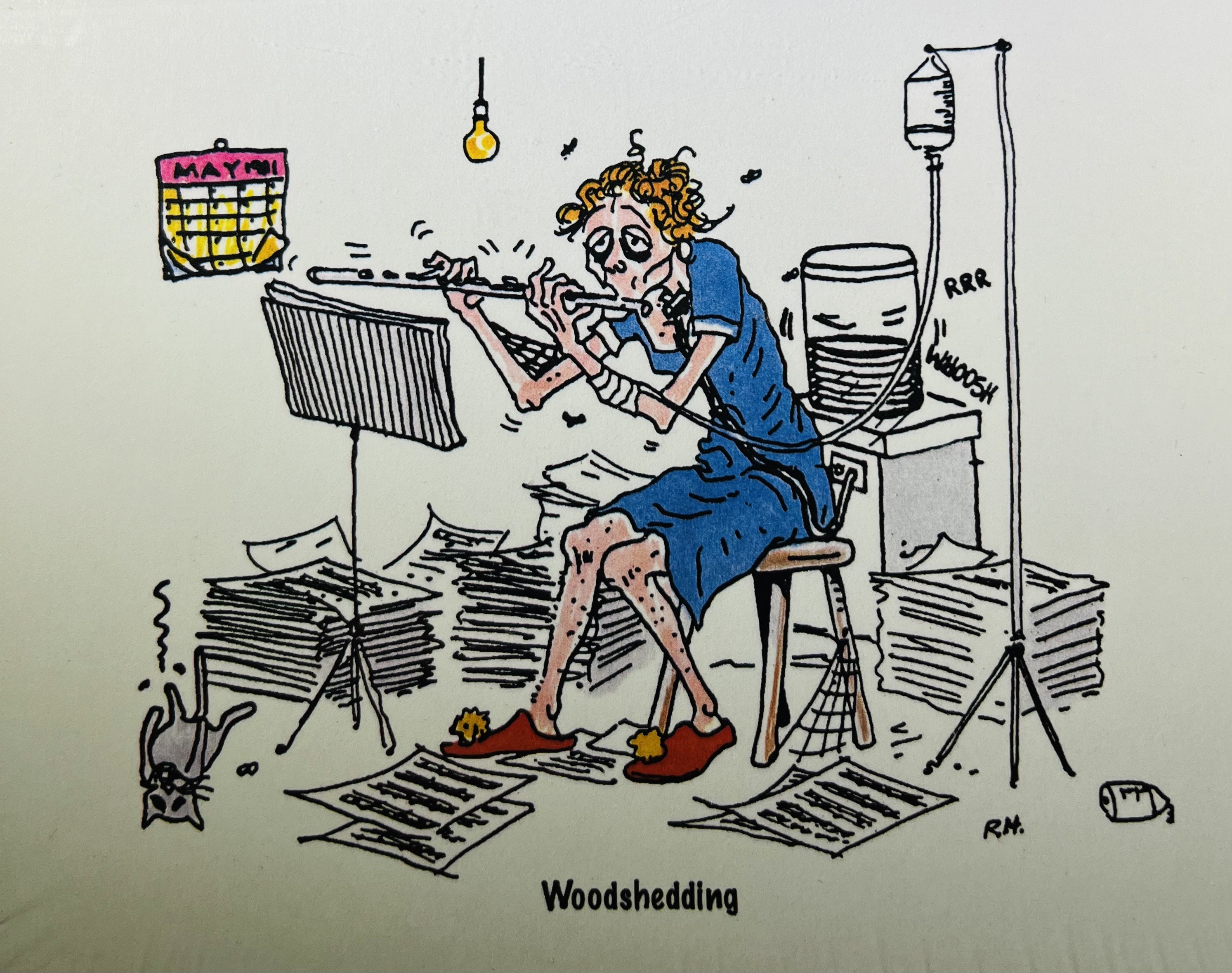 Three Symfunnies Flute Greeting Cards Woodshedding - Etsy UK