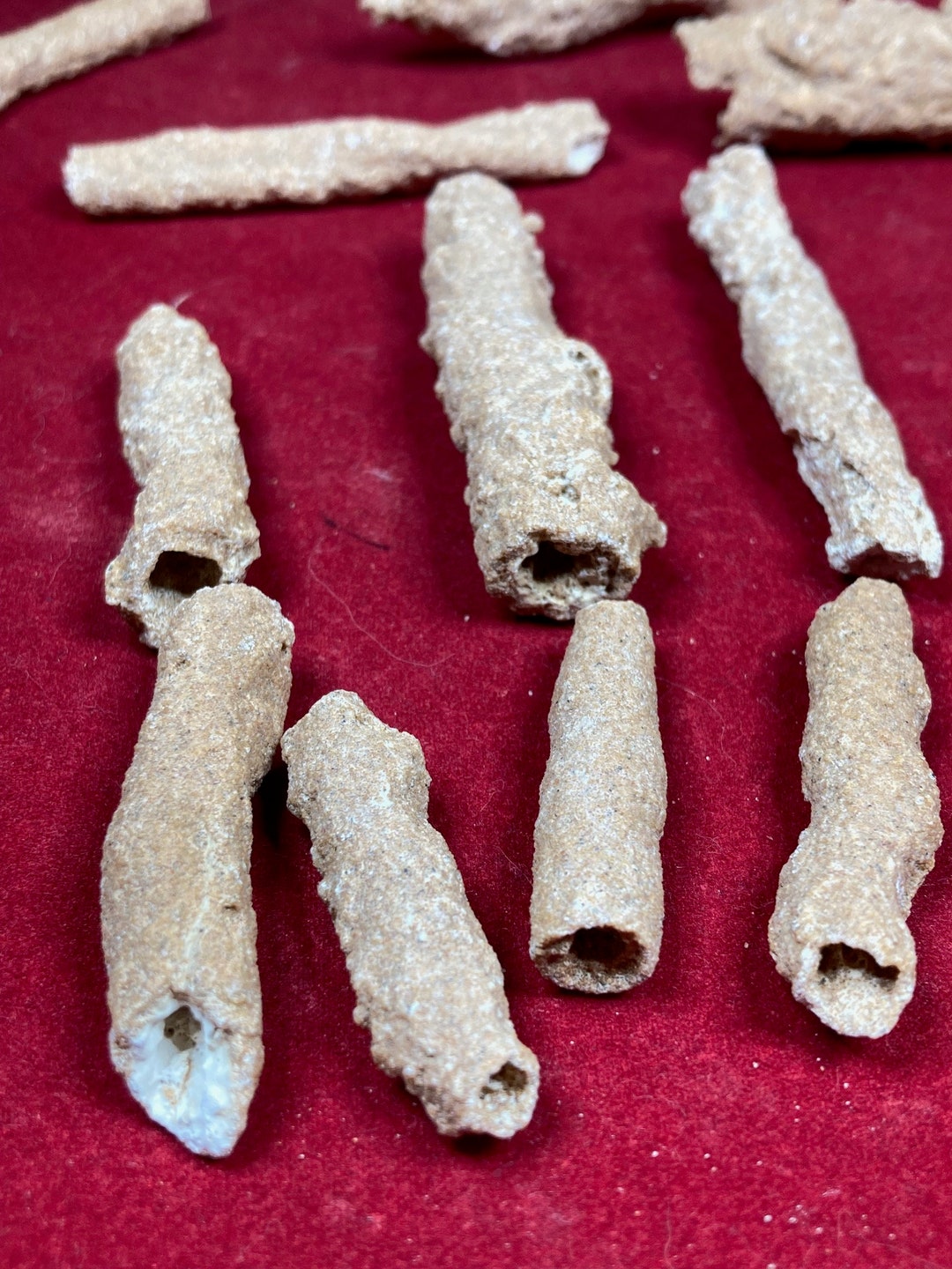Fulgurite Natural Glass Created by Lightning Strike Rarity Collector ...