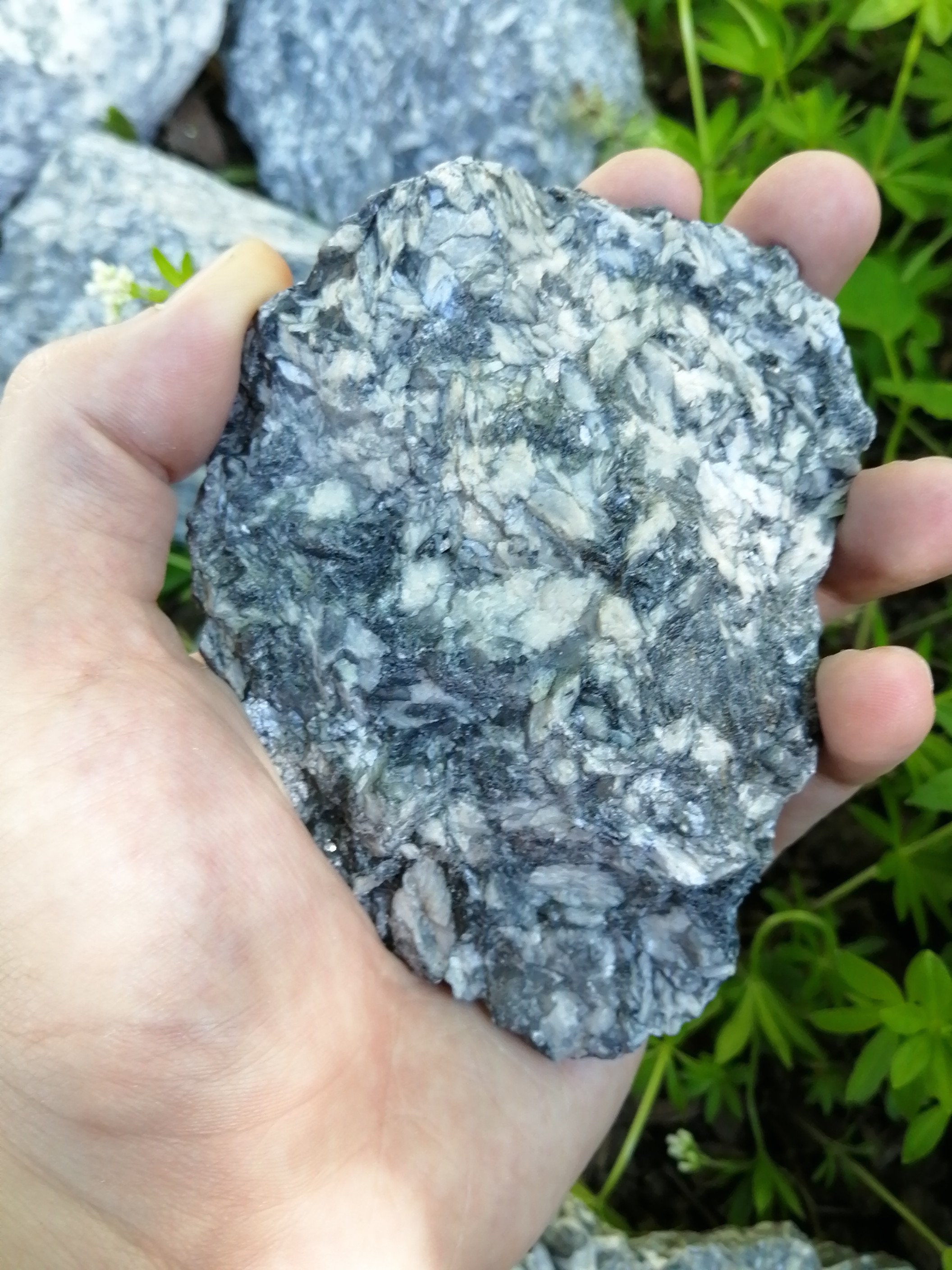 Magnesite, Pinolite Price per 1 Kg, Raw Stone, Healing Stone ...