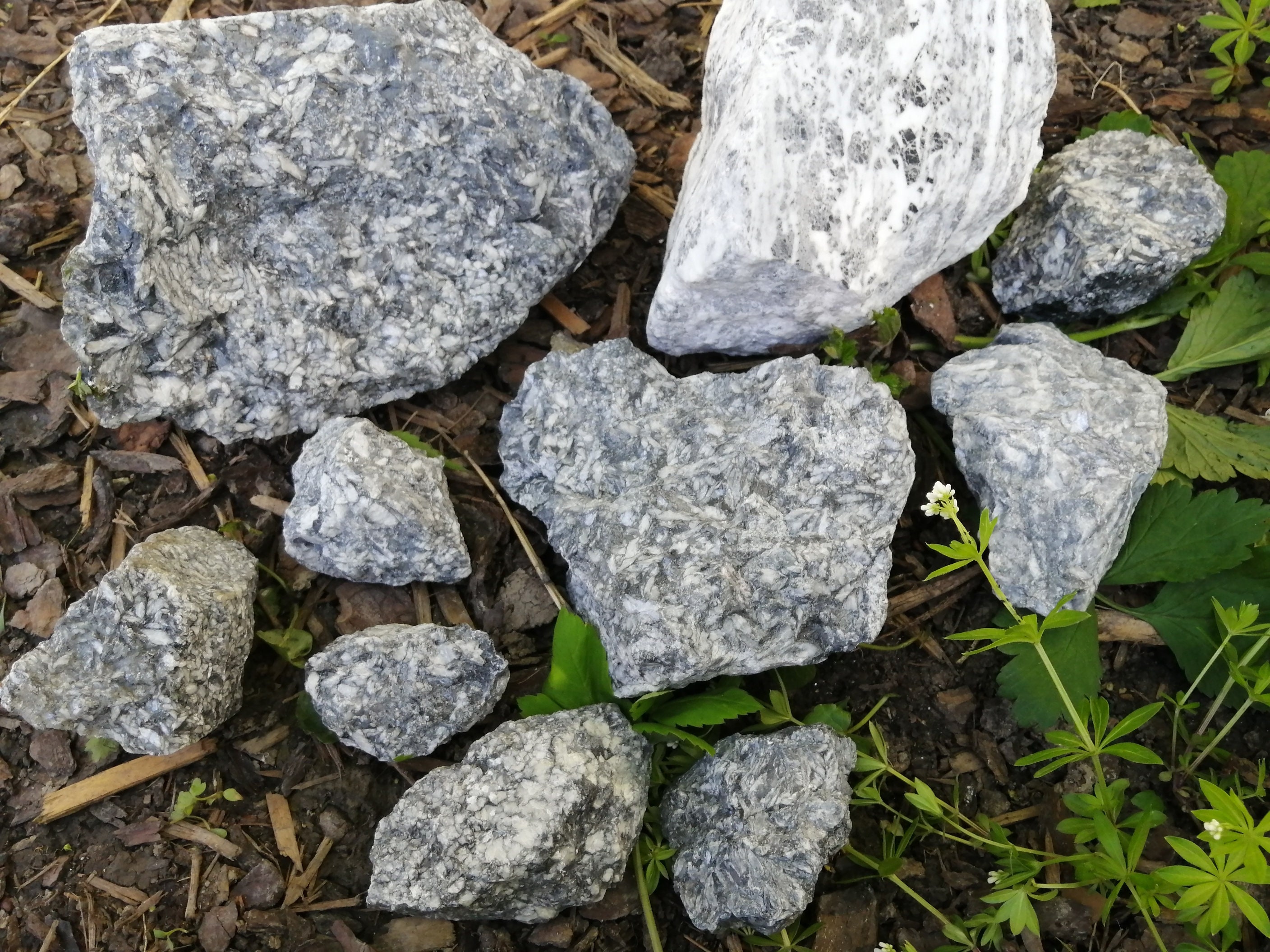 Magnesite, Pinolite Price per 1 Kg, Raw Stone, Healing Stone ...