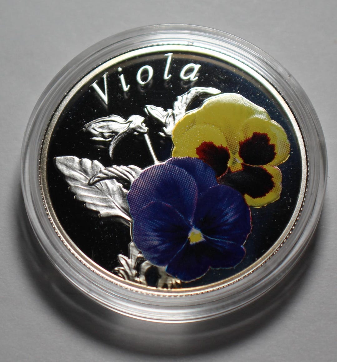 Belarus Silver 10 Rubles Coin: Viola Flower, 2013 Proof - Etsy
