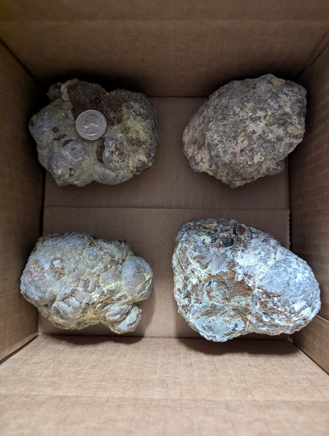 7 Pounds Lb Lbs of Saw Your Own Thunderegg Geodes in This 4 Geode Lot ...