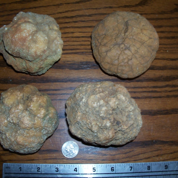 Indiana Geodes - Etsy