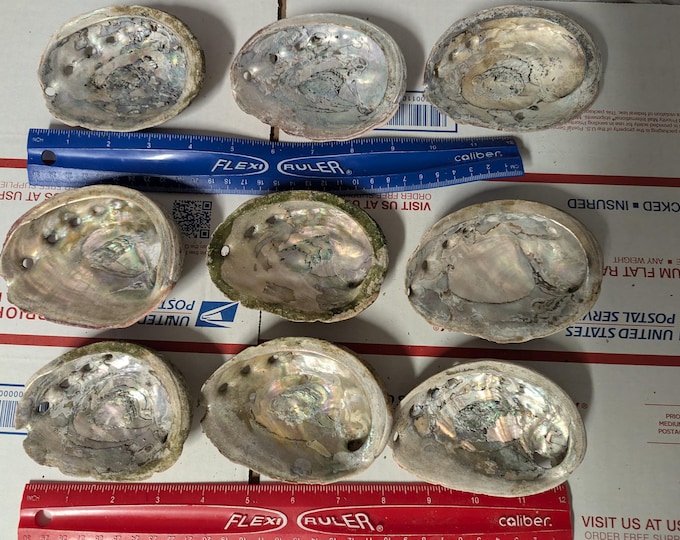4 Inch Wood Stand for Abalone Shells, Gemstones, or Other Items ...